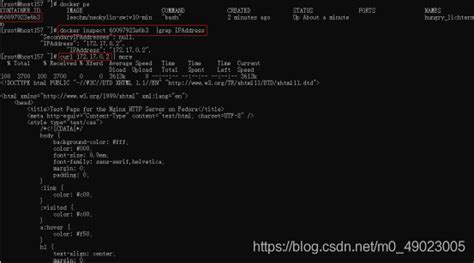 申威平台docker镜像使用方法申威银河麒麟docker镜像 Csdn博客
