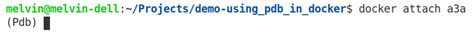 debugging using pdb in dockerized environment hackernoon