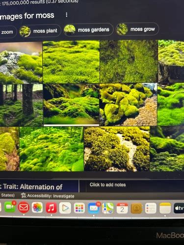 Lab Quiz Flashcards Quizlet