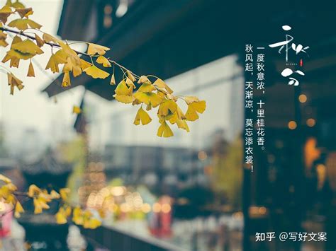 文艺走心的秋分朋友圈文案每一句都美到犯规 知乎