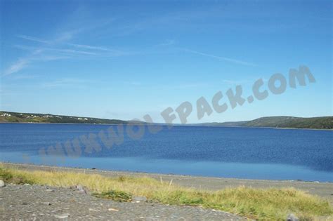 Linux Wolf Pack Linux Resources Help Software Articles And More