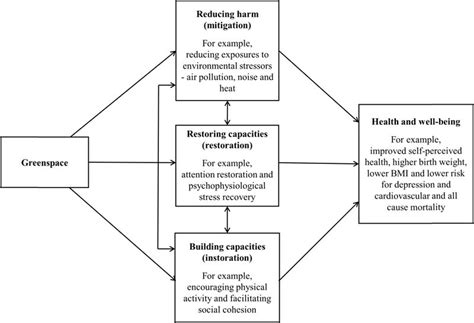 Marc Harris Phd On Linkedin We Know That Nature Benefits Our Health But How This Paper
