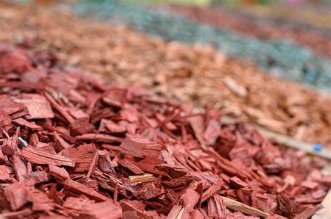 Which Mulch Is Best For Your Landscape McDonald Garden Center