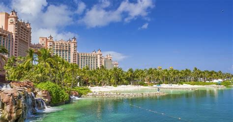 Top 5 Reasons To Visit Atlantis Paradise Island🙉 Discover The