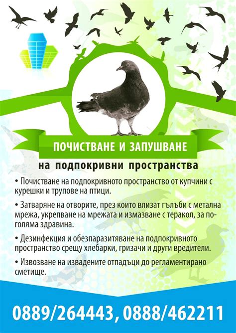 Домоуправител 🧹🧹Имате ли гълъби в подпокривните пространства🧹🧹 Всички обичаме животните но