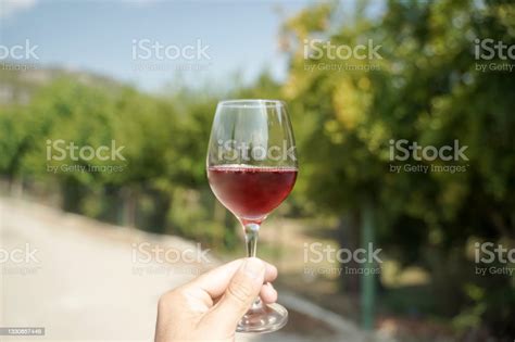 여름 농장 포도원의 배경에 손에 와인 한 잔 여름 수확에서 수제 레드 와인 세계지도에 대한 스톡 사진 및 기타 이미지 세계