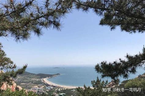 叔本华的钟摆：在痛苦和无聊之间摇摆 知乎