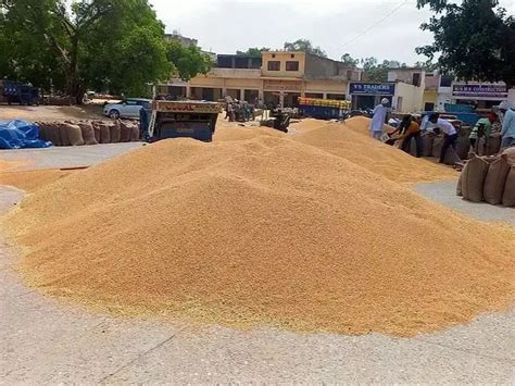 Wheat Msp Price Hike Update Pm Modi Cabinet Meeting Rabi Crops