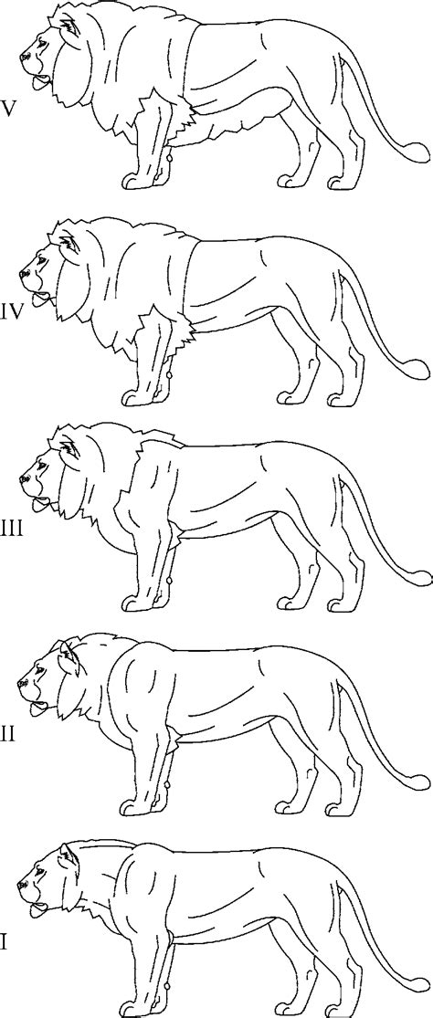 Panthera Leo Atrox Mane