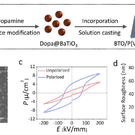 Fabrication And Characterization Of BTO P VDF TrFE Composite