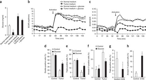 Tumor Impairs T Cell Polyfunctionality And Survival Via Glucose