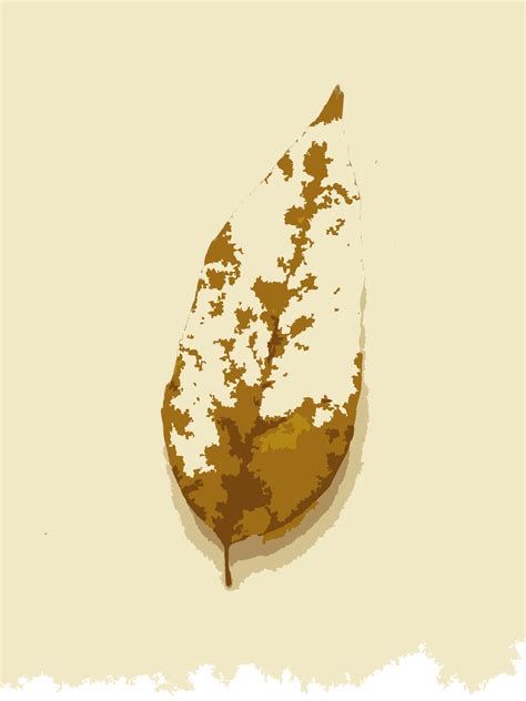 Download Fall Leaves 1 Svg Freepngimg