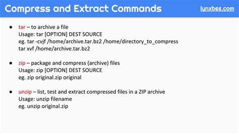 Linux Basics And Commands From