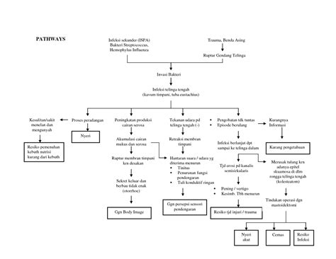 Bacaan Kanggo Barudak Perawat Pathway Otitis