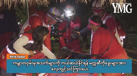ကမ္ဘာတဝှမ်းမှအသက်များကို ကယ်ဆယ်နိုင်ရန် မက္ကဆီကိုခွေးများအား လေ့ကျင့်သင