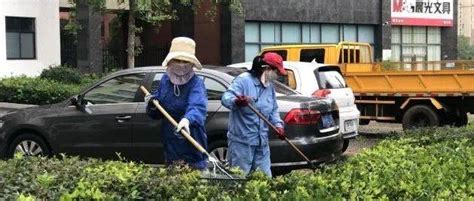 下基层察民情解民忧暖民心丨漳河新区城管局送技术进德艺学校植物市政活动