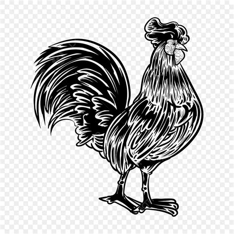 Hen Rooster Chicken Vector Design Images Black Rooster Silhouette