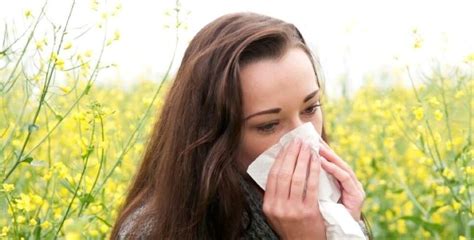 The Best Time For Treating Seasonal Allergies Is When You Dont Have