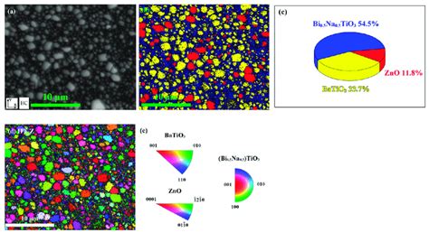 A Surface Morphology Of EBSD Scanning Region In The Component X Download Scientific Diagram