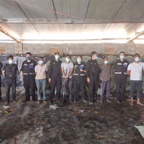 昆明警方大收网！抓获1803名犯罪嫌疑人、逃犯6人诈骗养老销赃