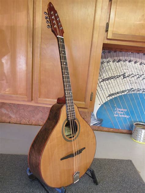 Beard Octave Mandolin Reverb