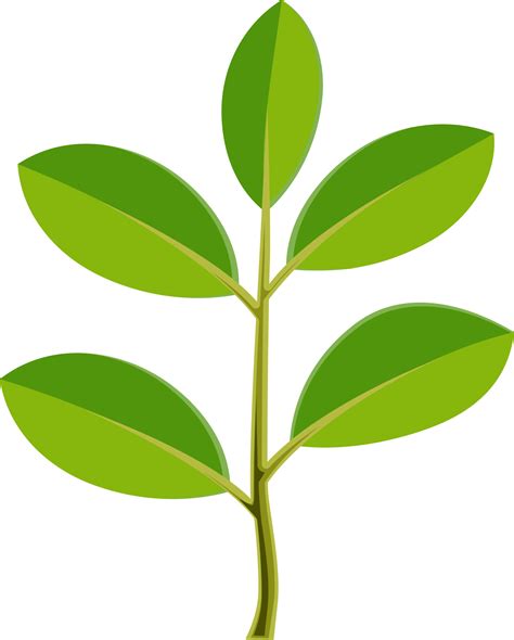 Branches Leaves Symbol Icon 19005517 Png