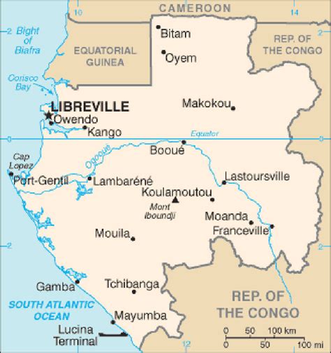 O Gabão Exemplo De Uma Nova Independência Em África Jornal Tornado