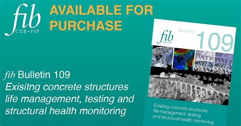 Existing Concrete Structures Life Management Testing And Structural Health Monitoring Pdf