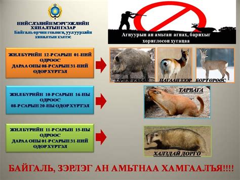 Агнуурын ан амьтан агнах барихыг хориглосон хугацаа
