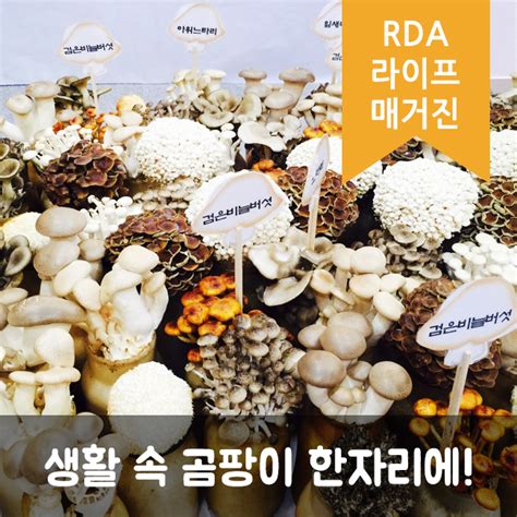 균 균 어디 어디 숨었니 생활 속 곰팡이 자원 전시회 네이버 블로그