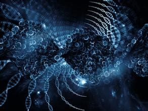 Rna