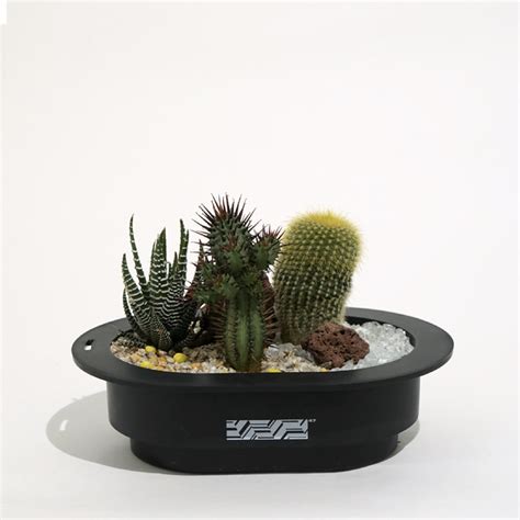 Table Garden 다육이로 만드는 책상정원 플랜트세트 감도 깊은 취향 셀렉트샵 29cm