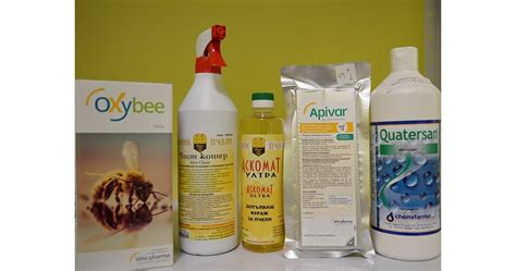 Как да направите правилен подбор на медикаменти за профилактика и лечение на пчелите Български