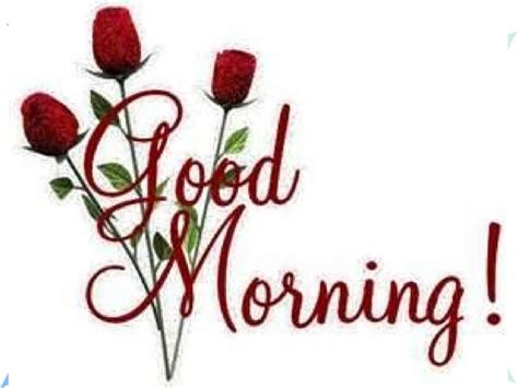 Ecv External Cephalic Version Define Risk Procedure Step Benefits