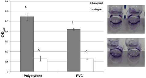 Optical Densities Od Measured At 600 Nm Of Solubilized Crystal Violet