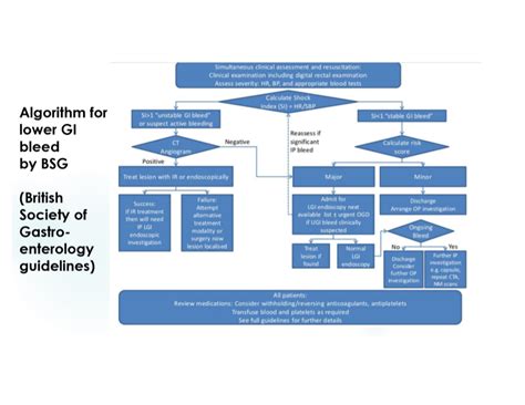 Gi Lower Gi Bleed Diagram Quizlet