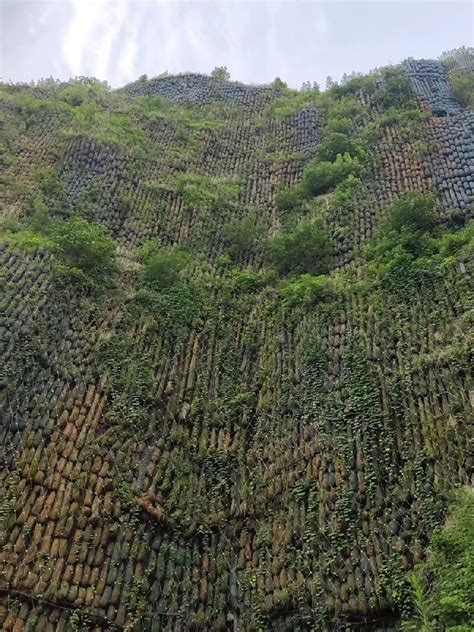 四川新宝川首页 专业客土喷播施工 植被混凝土喷播施工队