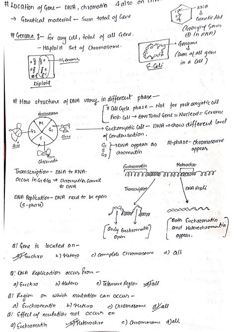 Solution Principle Of Inheritance And Variation Genetics Studypool