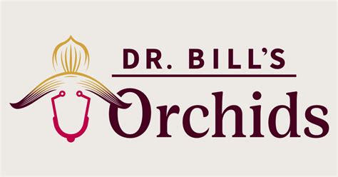 Paphiopedilum Dr Bills Orchids Llc