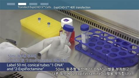 Expicho™ Expression System Expression Protocol 한국어 Youtube