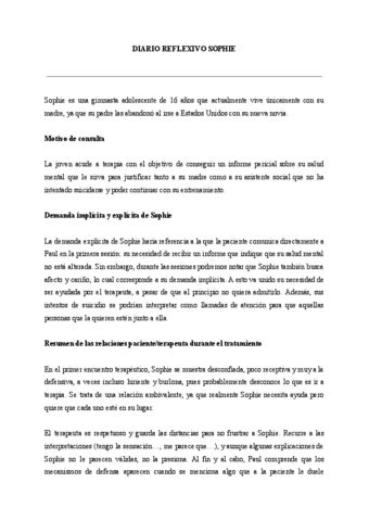 Diario Reflexivo Sophie Pdf