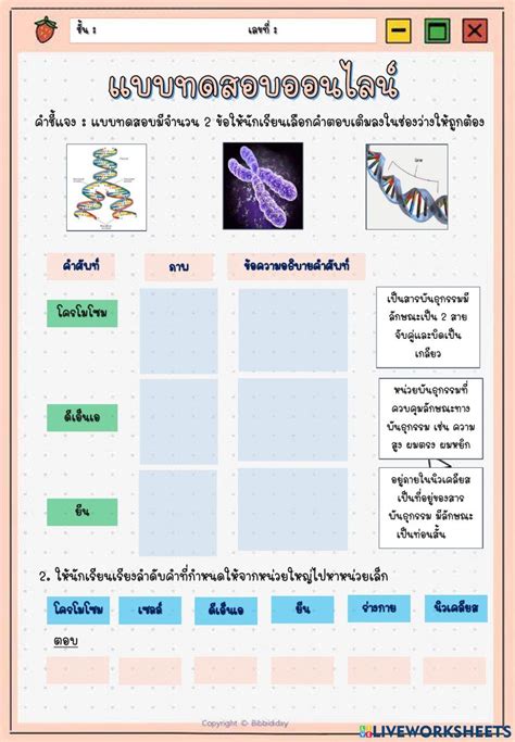 3293926 แบบทดสอบความสัมพันธ์ยีน ดีเอ็นเอ และโครโมโซม