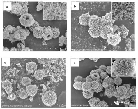 中文文献中的羟基磷灰石微球外貌概览 知乎