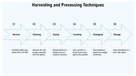 Harvesting And Processing Techniques Piriformospora Indica Ppt Presentation St Ai Ss Ppt Slide