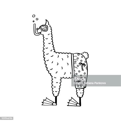 Ilustrasi Lucu Yang Digambar Tangan Dari Lama Di Celana Pendek Pantai