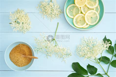 用于制作接骨木花糖浆的接骨木花糖和柠檬片高清图片下载 正版图片503654481 摄图网