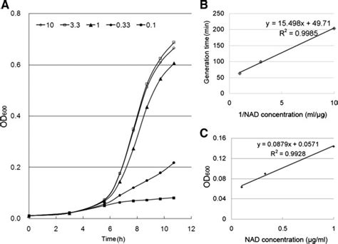 Dose Dependent Effects Of Nad On The Growth Of Escherichia Coli Mutant