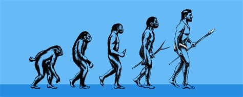 Human Evolution Timeline Mybiosource Learning Center