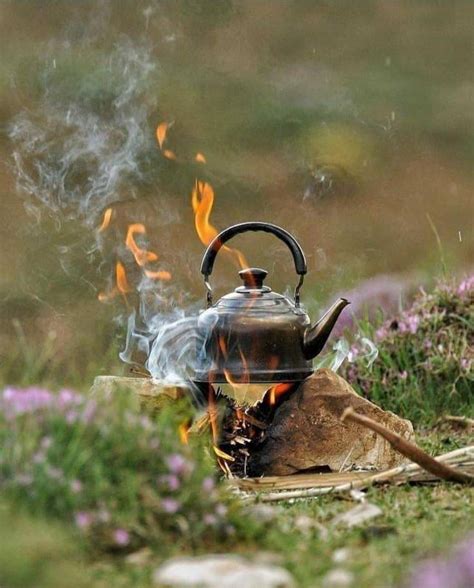 當鐵鳥升空 邱陽創巴仁波切：與善知識合作就像播種和澆水 在菩薩道之旅中，與師長合作是絕對的先決條件，一旦找到覺悟基因，就需要有個肇因使它成長，而那個肇因就是善知識。因此與善知識合作就像播種