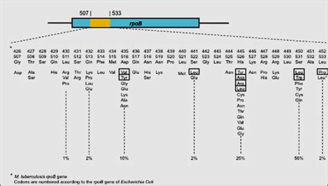 Missense Mutations Of The Rpob Gene Associated With Resistance To